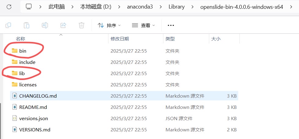 在win64中安装openslide库_openslide安装-CSDN博客