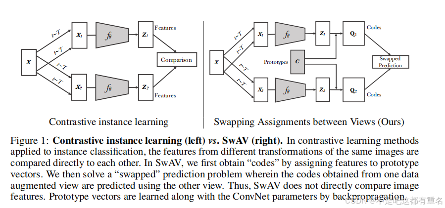 [论文阅读]Unsupervised Learning of Visual Features by Contrasting Cluster Assignments-CSDN博客