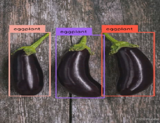 数据集-目标检测系列- 茄子 检测数据集 eggplant ＞＞ DataBall-CSDN博客