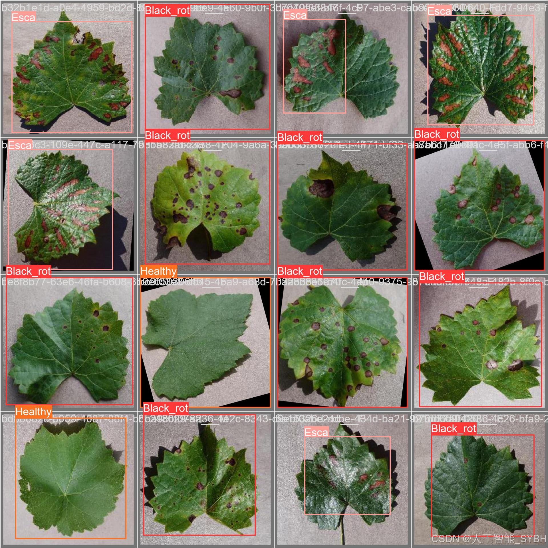 基于深度学习YOLOv10的葡萄叶片病害检测系统（YOLOv10+YOLO数据集+UI界面+Python项目源码+模型）_基于深度学习的葡萄叶部病害图像分类系统-CSDN博客