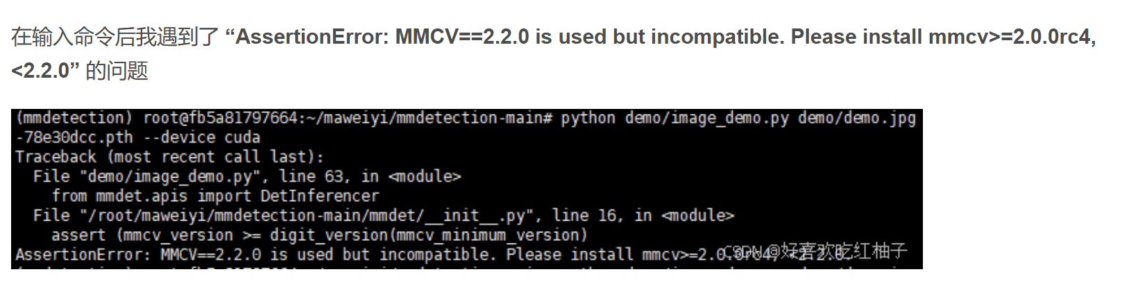 在autodl上搭建MMDetection环境并进行推理验证_mmdetection如何执行验证-CSDN博客