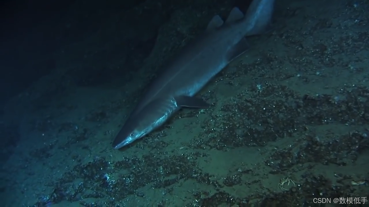 水下图像增强与复原（4）——MSRCR算法matlab/python实现-CSDN博客