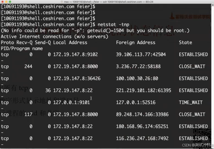 【可实战】Linux 常用命令之文件处理：ssh、ls、cd、pwd、mkdir、touch、rm、cp、mv、ln、find、cat、tail、tar、echo、＞、chmod ...