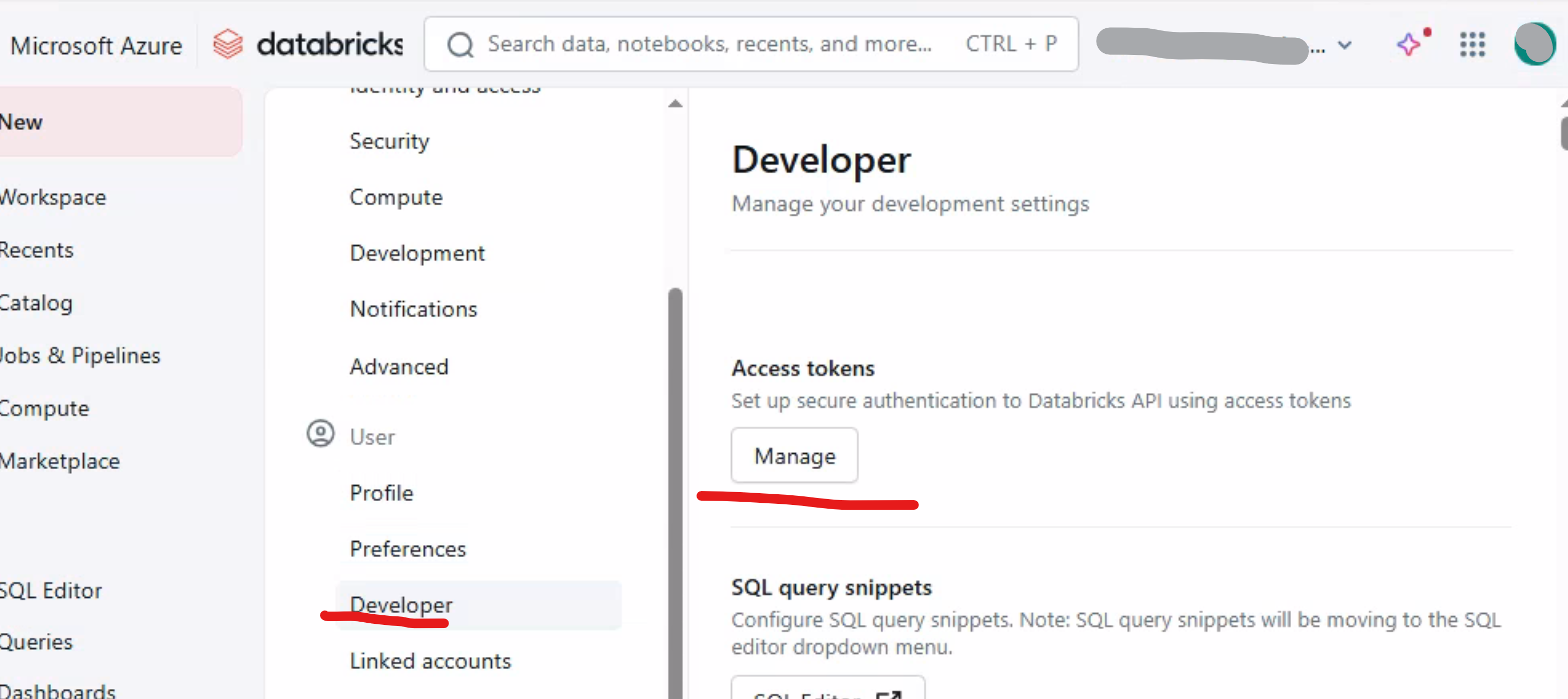 databricks secrets 设置及获取_databricks scope-CSDN博客