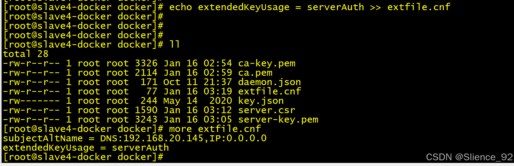 Docker_CA认证原理及配置_docker ca-CSDN博客