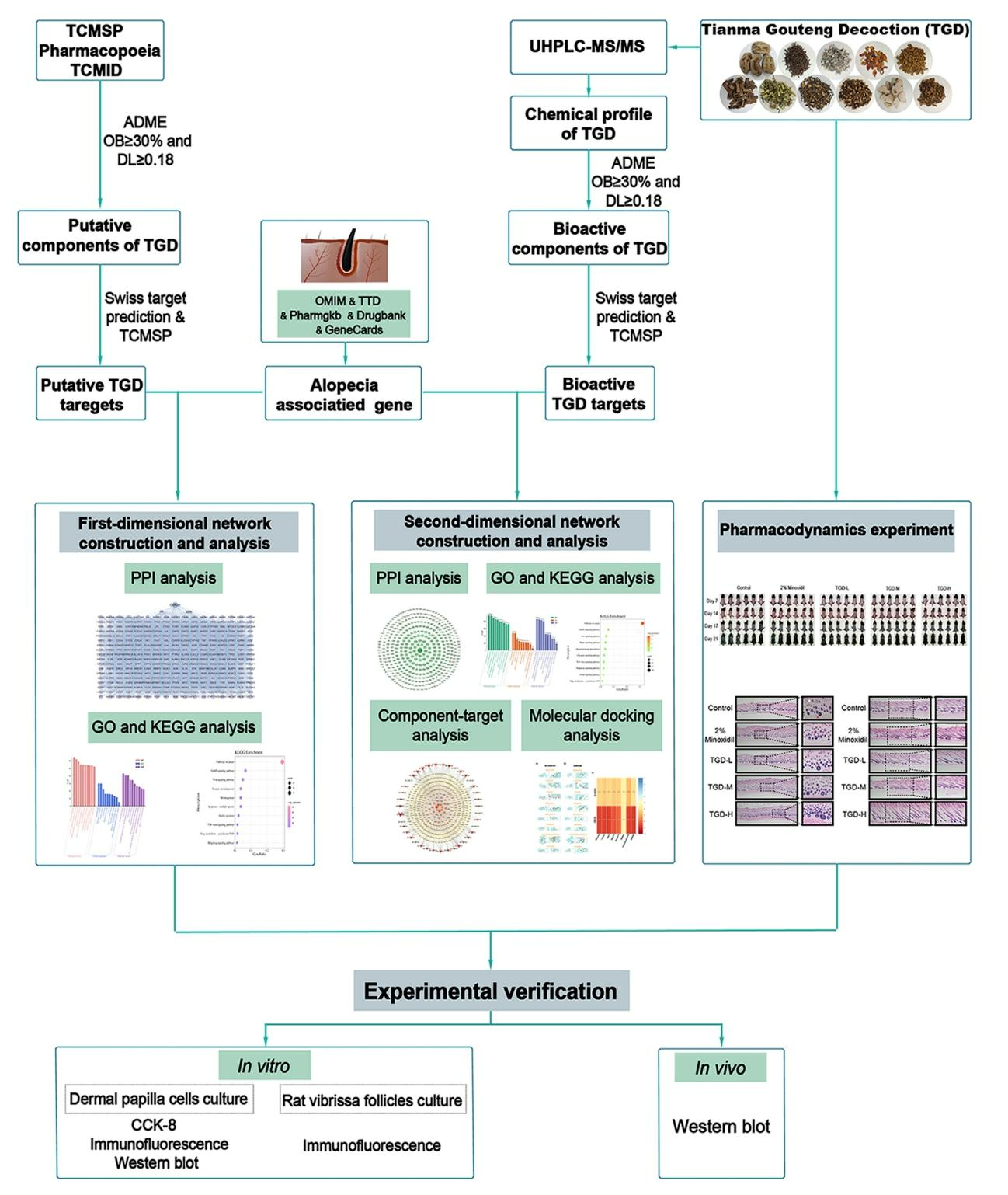【网络药理学】01：UHPLC-MS定性分析药物成分_mmu和ppm-CSDN博客
