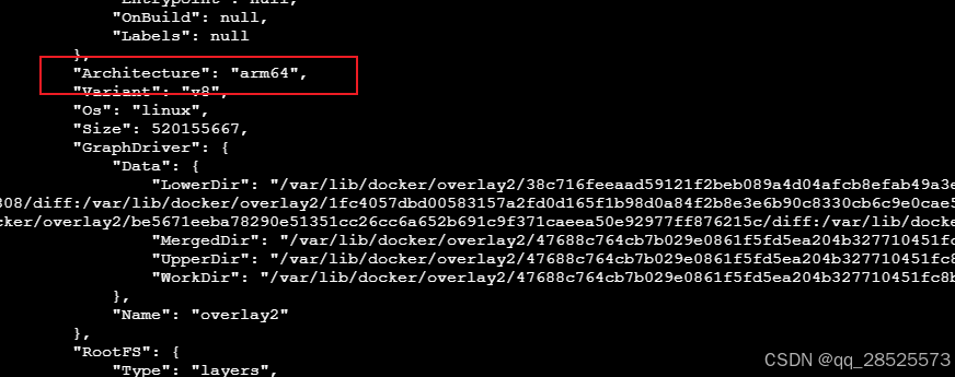 docker buildx 构建多架构 arm amd 等平台_docker build arm-CSDN博客