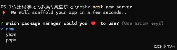 Nestjs_nestjs csdn-CSDN博客