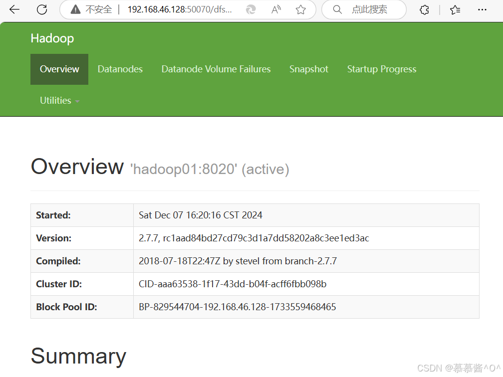 HDFS伪分布模式安装部署_虚拟机部署hdfs-CSDN博客