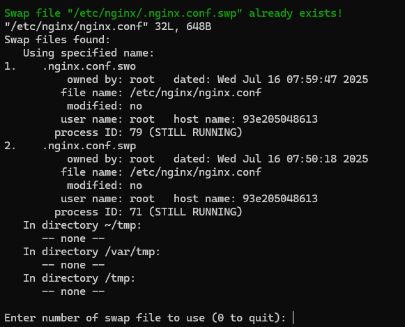 Nginx在Docker容器中的配置，问题解决，性能调优_docker nginx 配置-CSDN博客