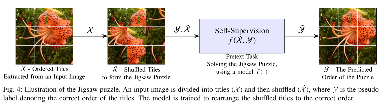 Self-Supervised Learning for Image Segmentation:A Comprehensive Survey ...