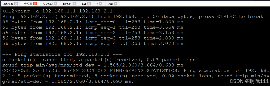 H3C BGP MPLS_h3c mpls ldp-CSDN博客