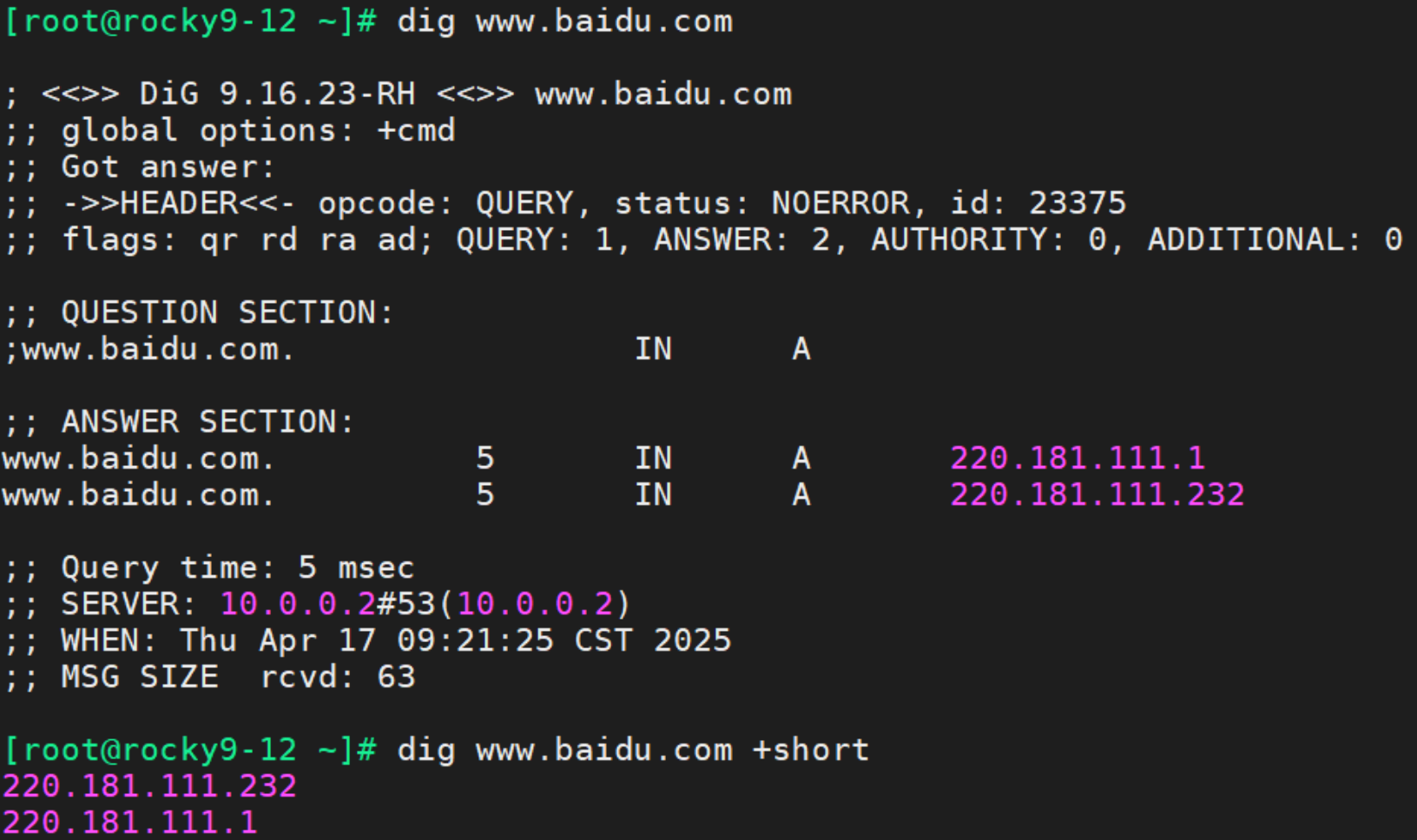 14-域名解析DNS 自我总结_linux 查看dns-CSDN博客