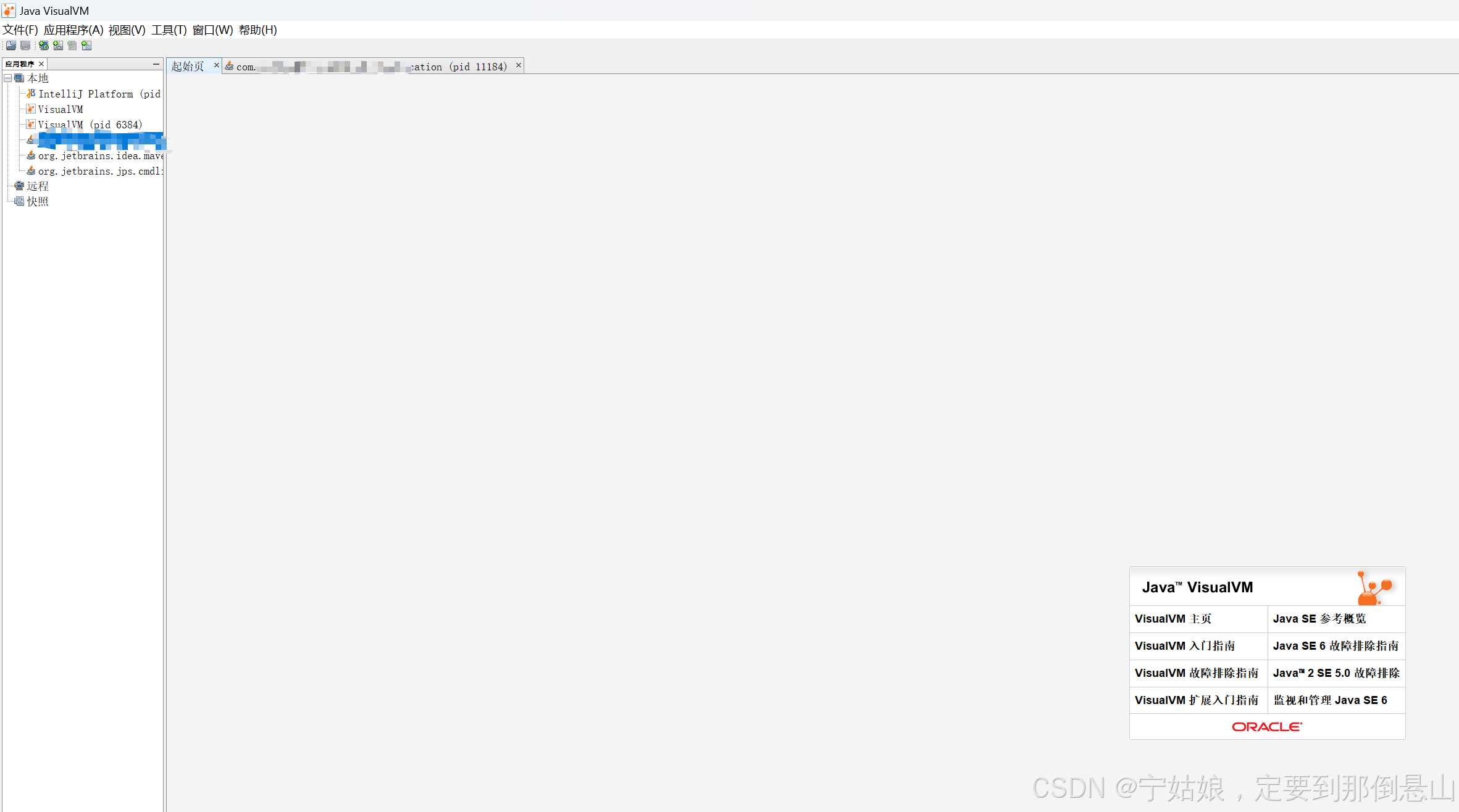 jvisualvm 中文版_visualvm汉化-CSDN博客