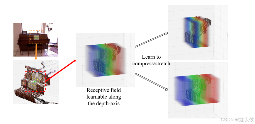 Malleable 2.5D Convolution: Learning ReceptiveFields along the Depth ...