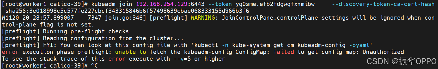error execution phase preflight: unable to fetch the kubeadm-config ConfigMap: failed to get ...