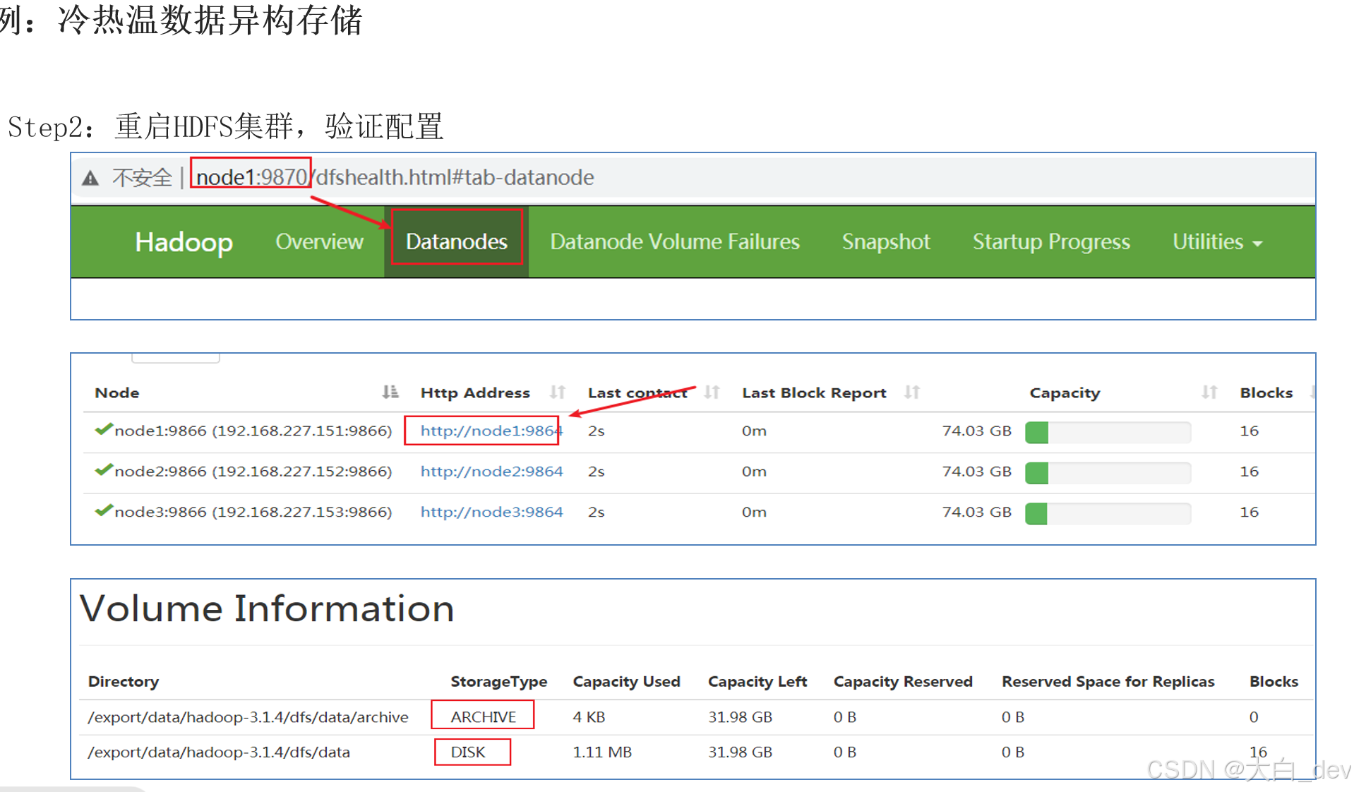 Hadoop之HDFS_hadoop hdfs-CSDN博客