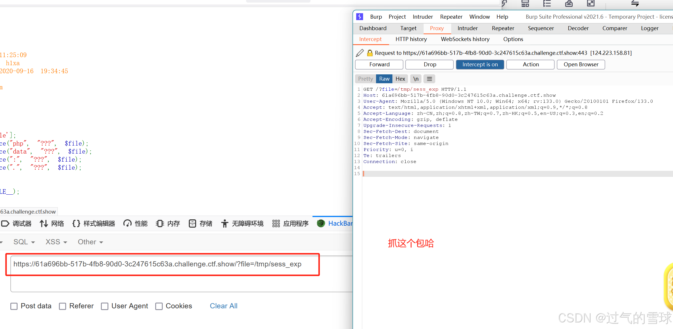 CTFshow--WEB入门--文件包含（78-88、116、117关）_ctfshow web117-CSDN博客