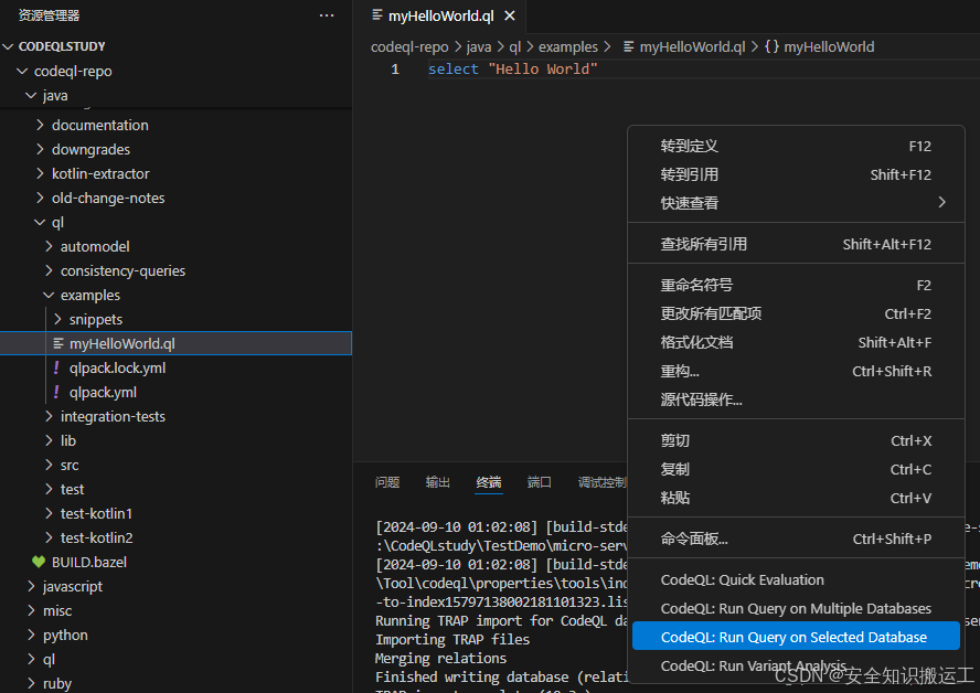 CodeQL入坟篇_codeql ast-CSDN博客