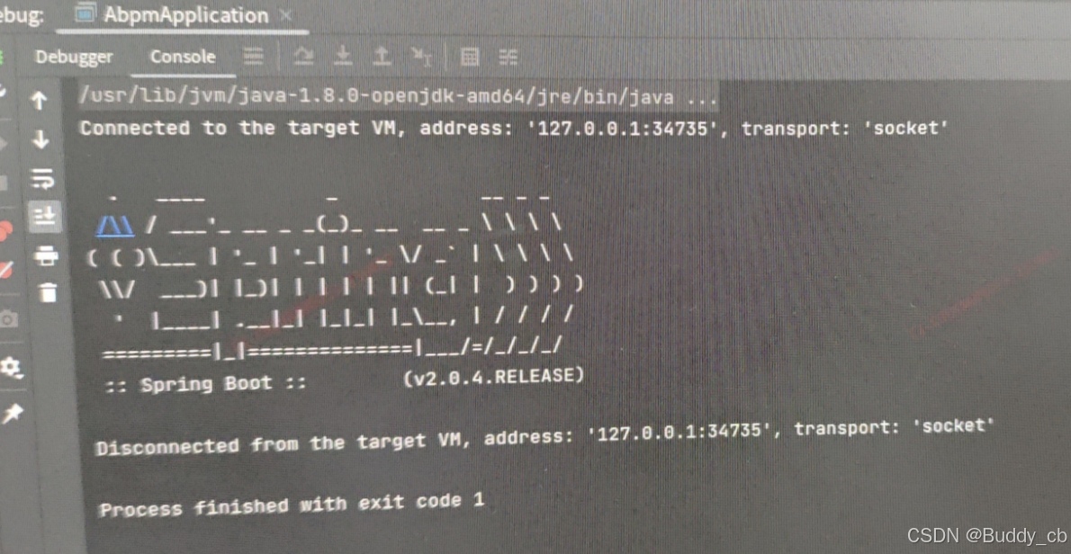 【springboot项目启动中断：Disconnected from the target VM，‘127.0.0.1:8080‘, transport: ‘socket ...