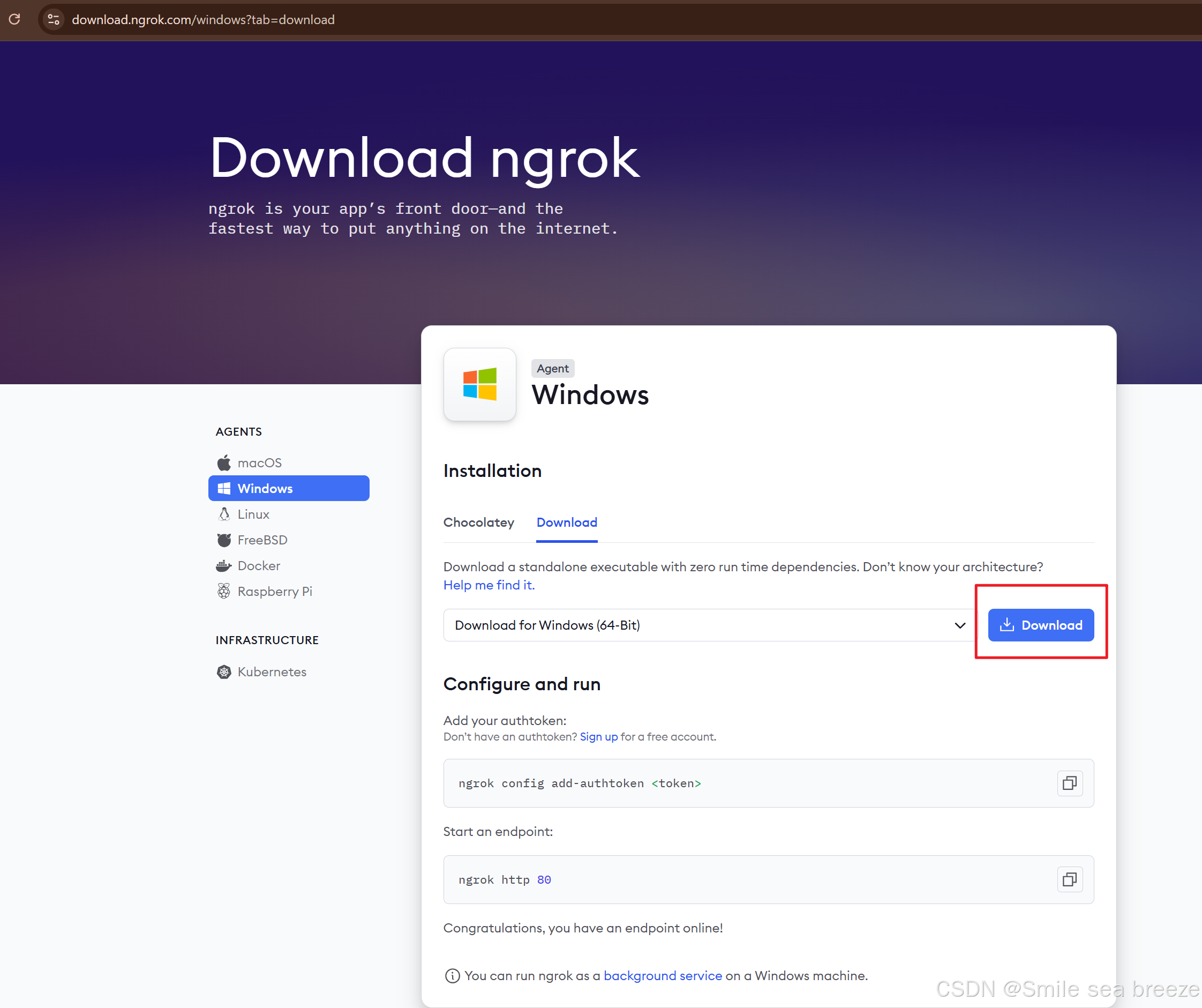 Ngrok下载安装详细教程-CSDN博客
