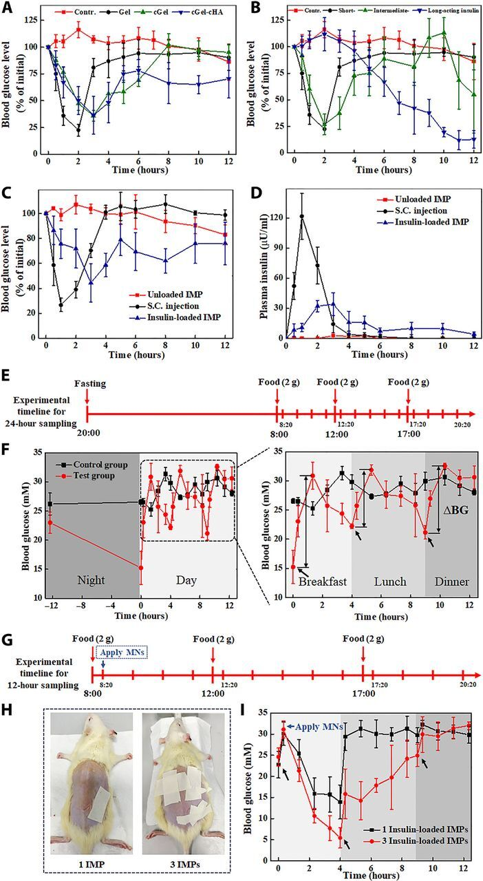 AbMole小课堂丨如何使用Streptozotocin（STZ）构建大鼠/小鼠糖尿病模型？_sd 大鼠采用高脂饮食(hfd)联合链脲霉素 ...