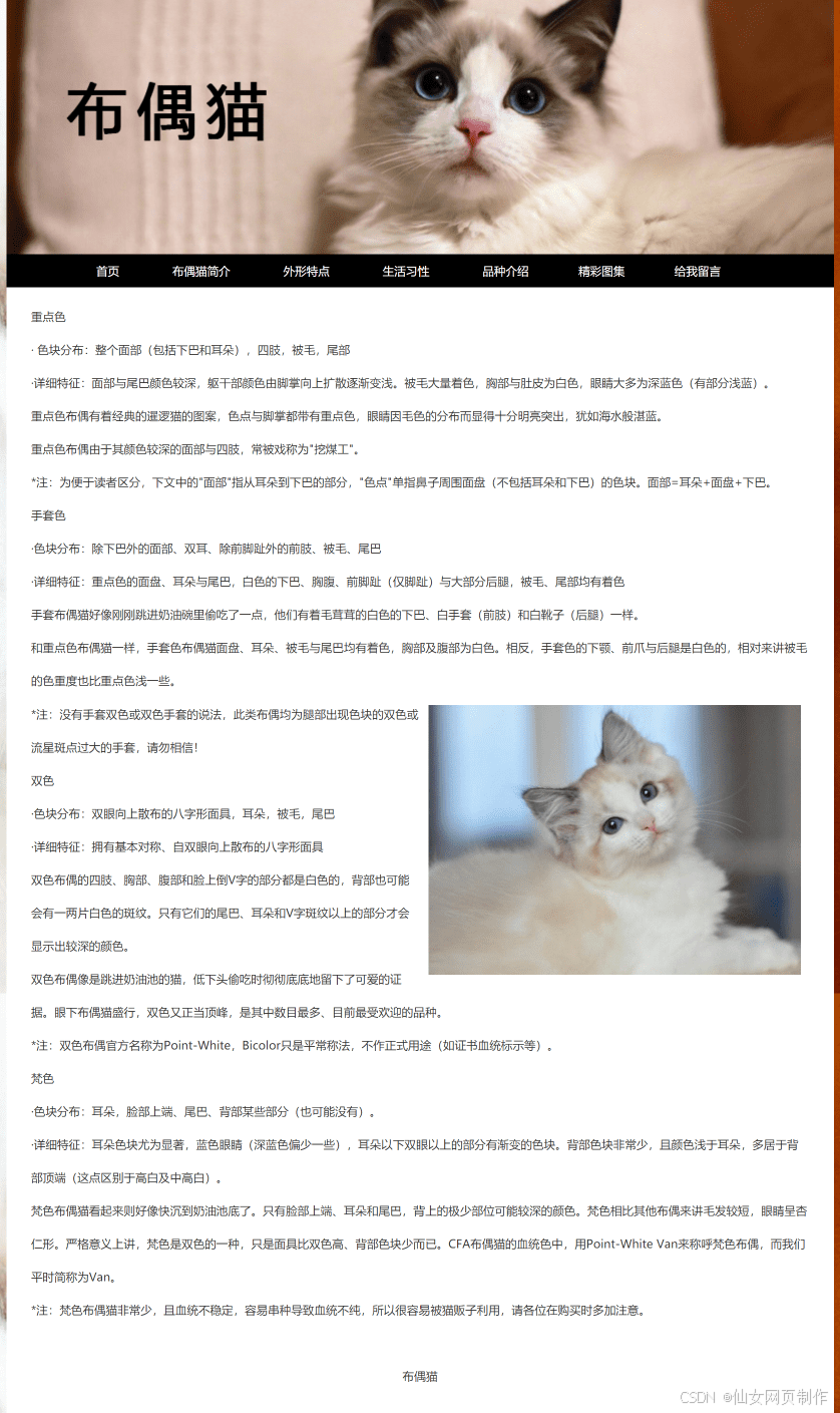 21. 大学生HTML期末大作业 ―【可爱的布偶猫动物主题精品网页】 Web前端网页制作 html+css-CSDN博客
