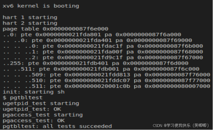 xv6-labs-2021：pgtbl Detecting which pages have been accessed-CSDN博客