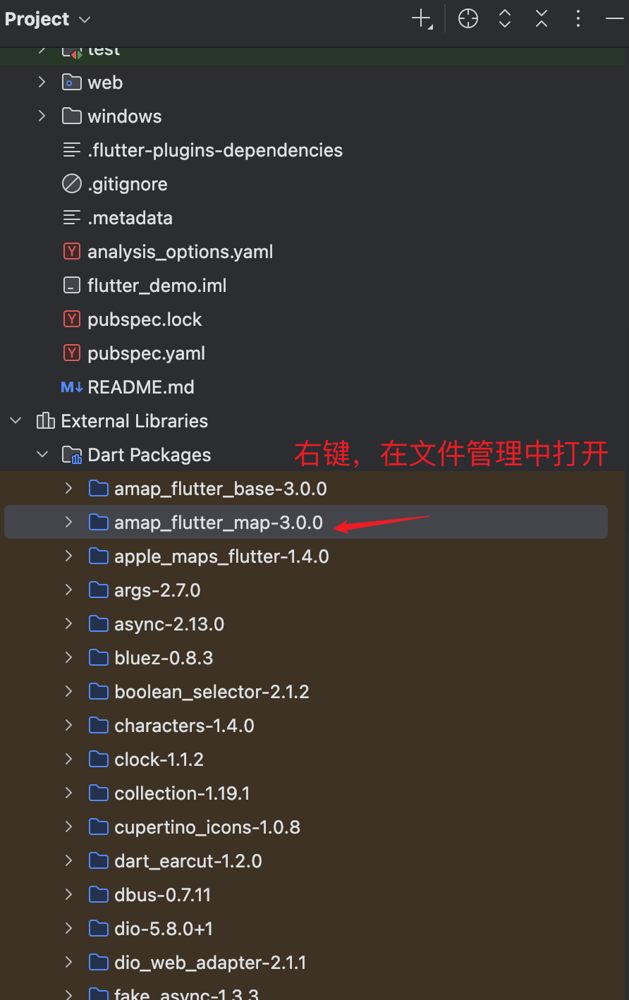 Flutter接入高德地图插件amap_flutter_map_flutter集成高德地图sdk集成demo-CSDN博客
