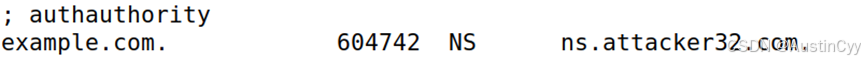 【Seed-Labs 2.0】Local DNS Attack Lab_seed lab dns-CSDN博客