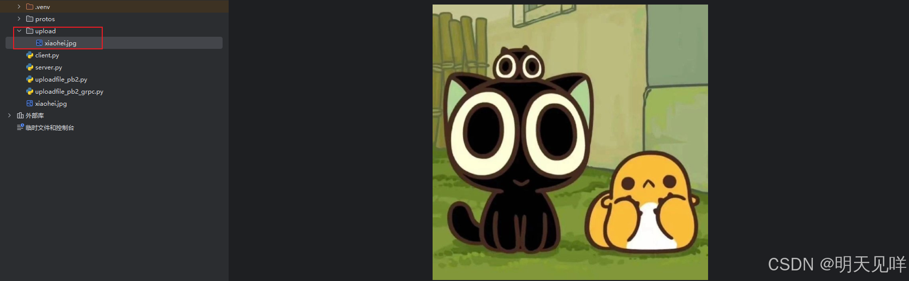 用grpc实现文件传送python代码grpc Python Csdn博客