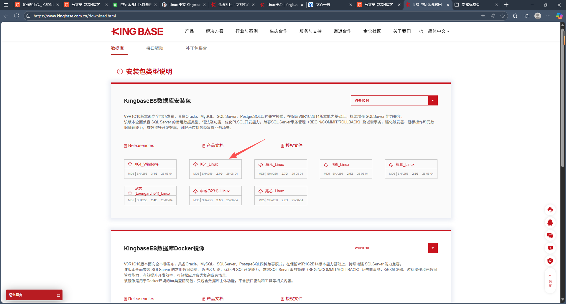 CentOS 上安装KingbaseES（ISO包）详细教程_金仓数据库安装教程-CSDN博客