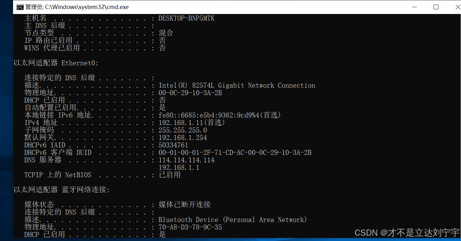 DNS配置和网址_hosts dns-CSDN博客