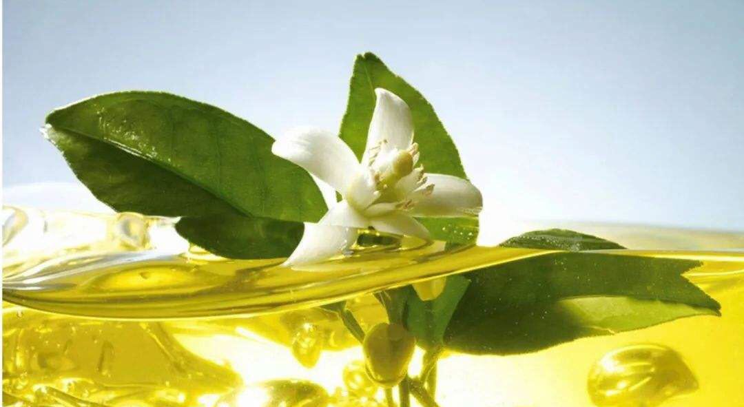 SPSS数据分析从小白到高手--SPSSAU与SPSS区别解析_spssau和spss的区别-CSDN博客