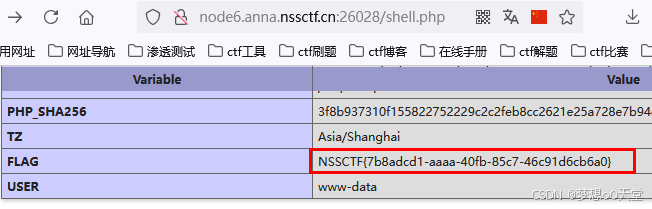 Swpuctf 2024 秋季新生赛 The Future Revenge Csdn博客 