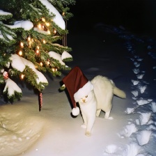 @PathVariable与@PathParam的区别_pathvariable和pathparam跟两个参数-CSDN博客