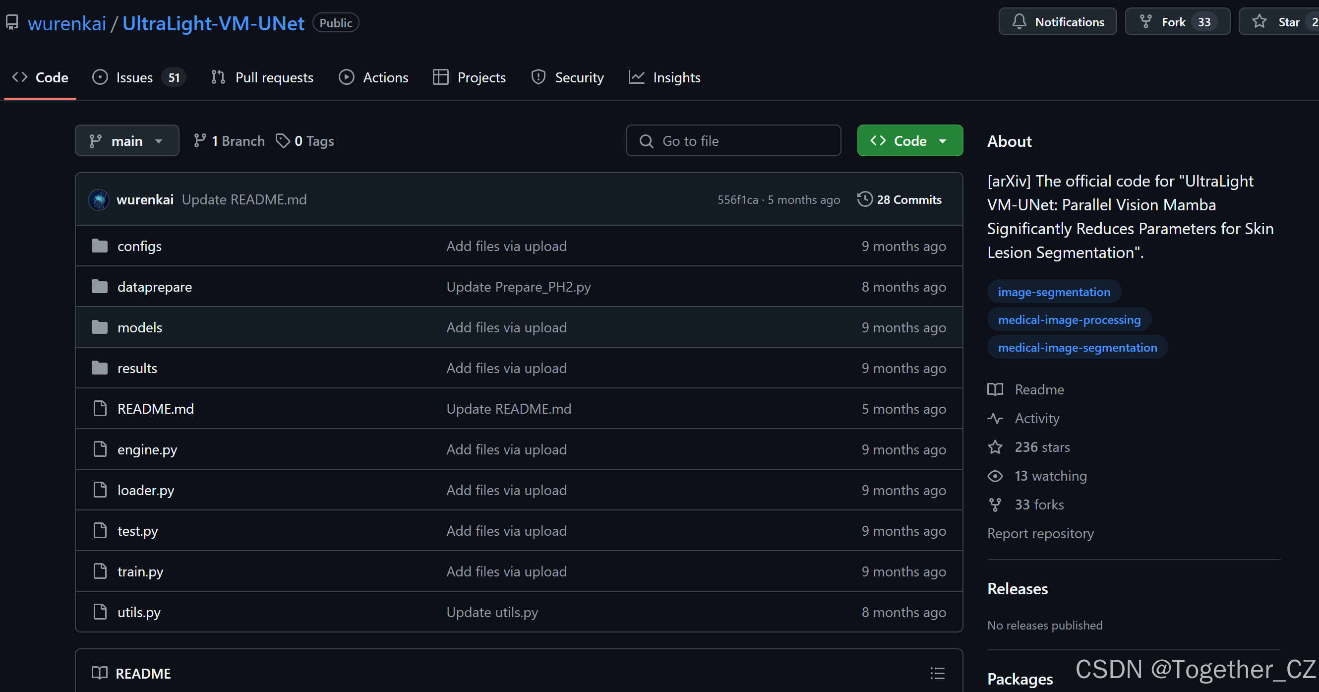 UltraLight VM-UNet：并行视觉Mamba显著减少参数用于皮肤病变分割-CSDN博客