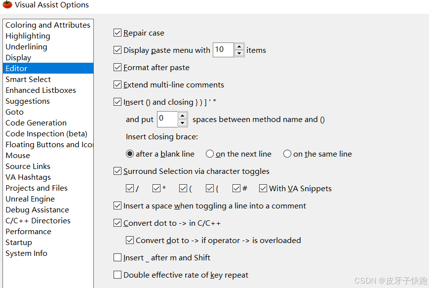 VS2022小番茄(visual assist)和彩虹括号(viasfora)设置-CSDN博客