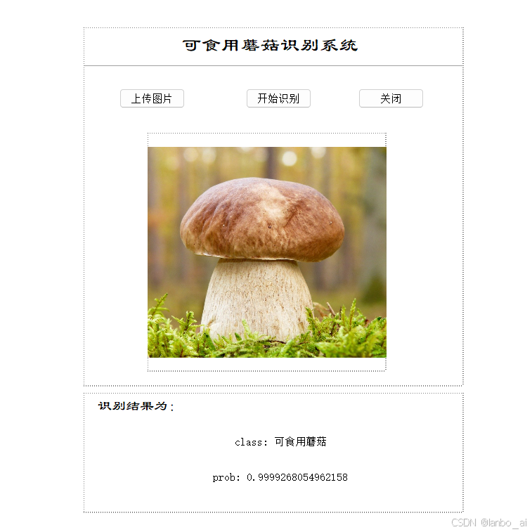基于卷积神经网络的可食用蘑菇识别系统,resnet50,inceptionv3模型【pytorch框架python源码】 Csdn博客