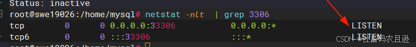 docker命令进入MySQL容器时的报错：ERROR 2002 (HY000): Can‘t connect to local MySQL server through socket ...