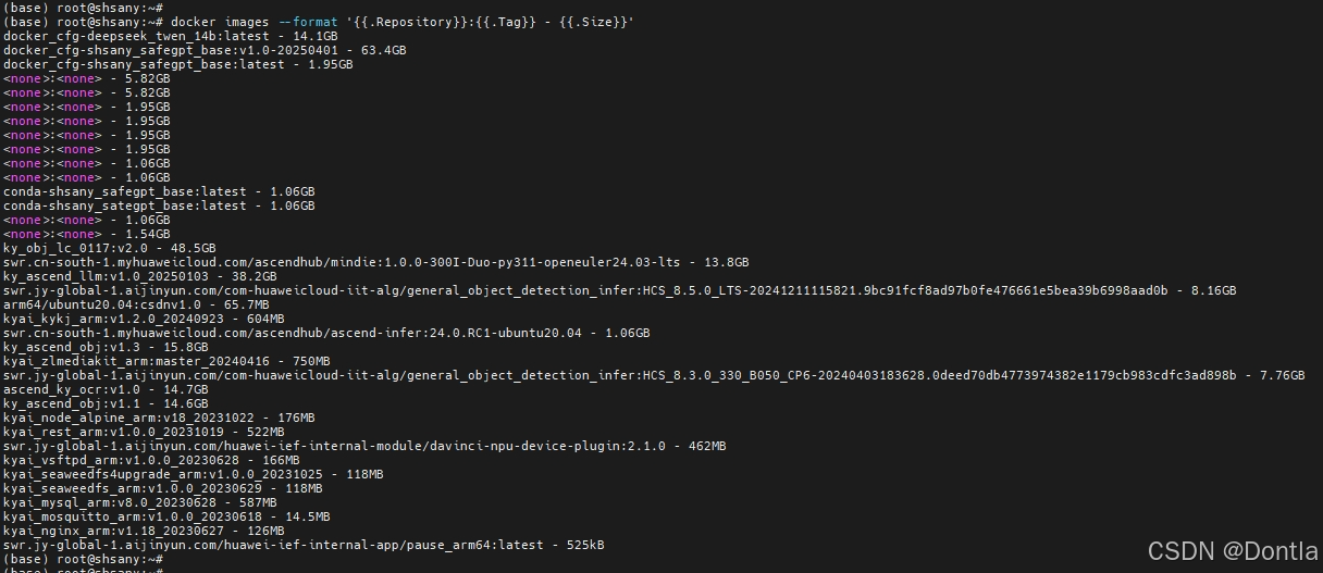 Docker --format 参数介绍（Docker format、Docker -f）（自定义命令输出格式）Docker命令、Docker格式化输出、Docker显示挂载、Docker监控 ...