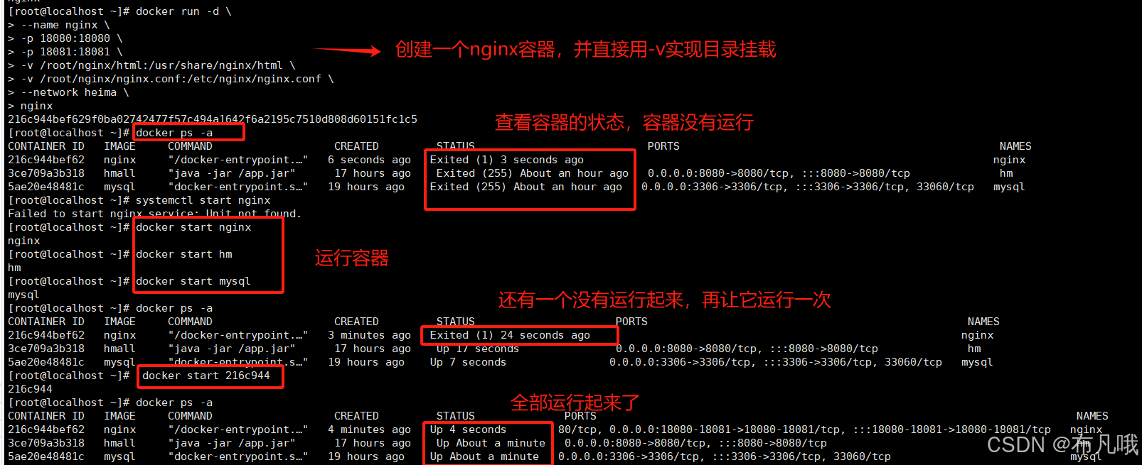 项目部署 通过docker手动部署前后端分离项目(全网超级详细 的教程) Docker部署前后端分离项目 Csdn博客