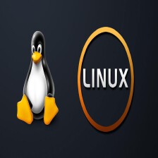 Linux------《操作系统全景速览：Windows·macOS·Linux·Unix 对比及 Linux 发行版实战指南》_debian stable zst-CSDN博客