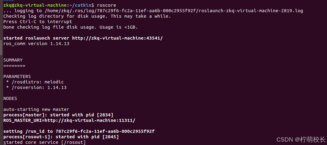 ROS1实现hello world_ros1 python helloworld-CSDN博客