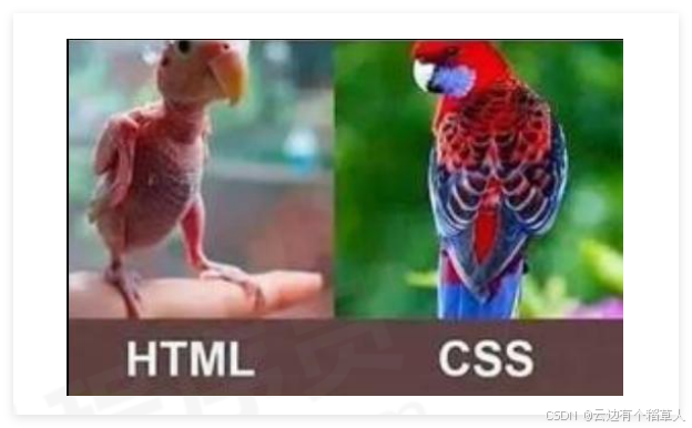 【Web前端技术】第四节—CSS（简介+基础选择器+字体/文本属性+引入方式+Chrome调试工具）_web前端 css-CSDN博客