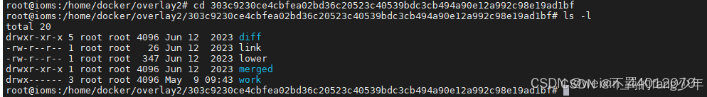 Docker Overlay2磁盘空间占满_dockeroverlay2占用大量磁盘空间-CSDN博客
