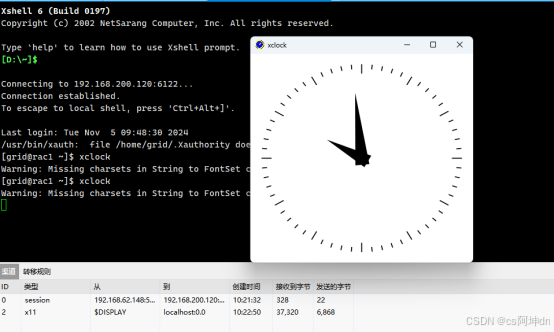 Oracle 11g RAC集群部署（一文到底）-CSDN博客