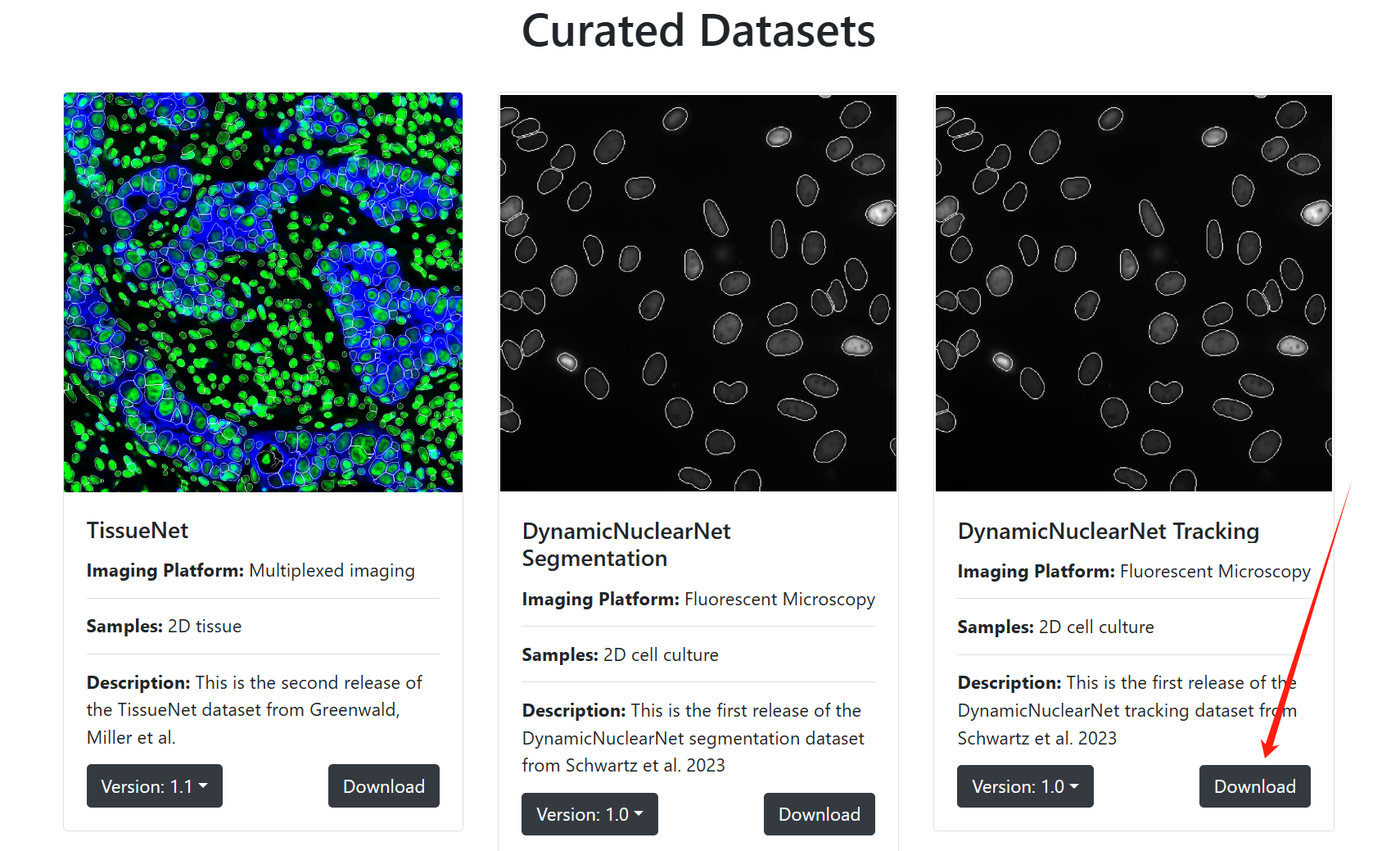 【模型训练】Trackastra - Tracking by Association with Transformers_deepcell datasets-CSDN博客