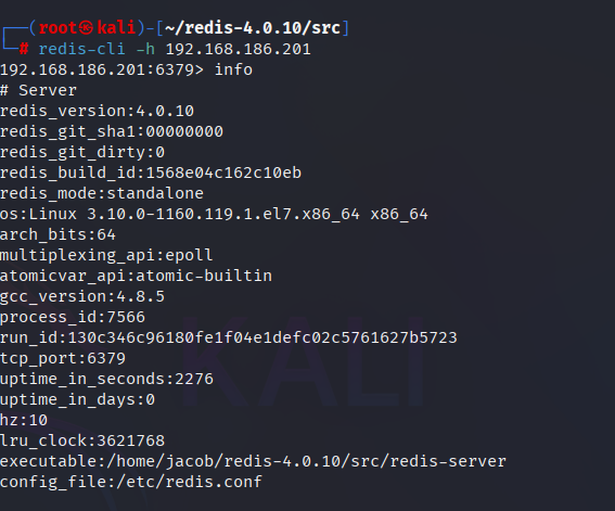 Redis 未授权访问环境复现_kali验证redis未授权-CSDN博客